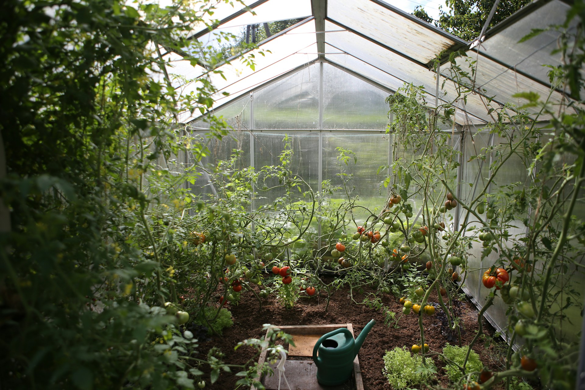 44 Sustainable Living Tips For an Eco-Friendly Lifestyle