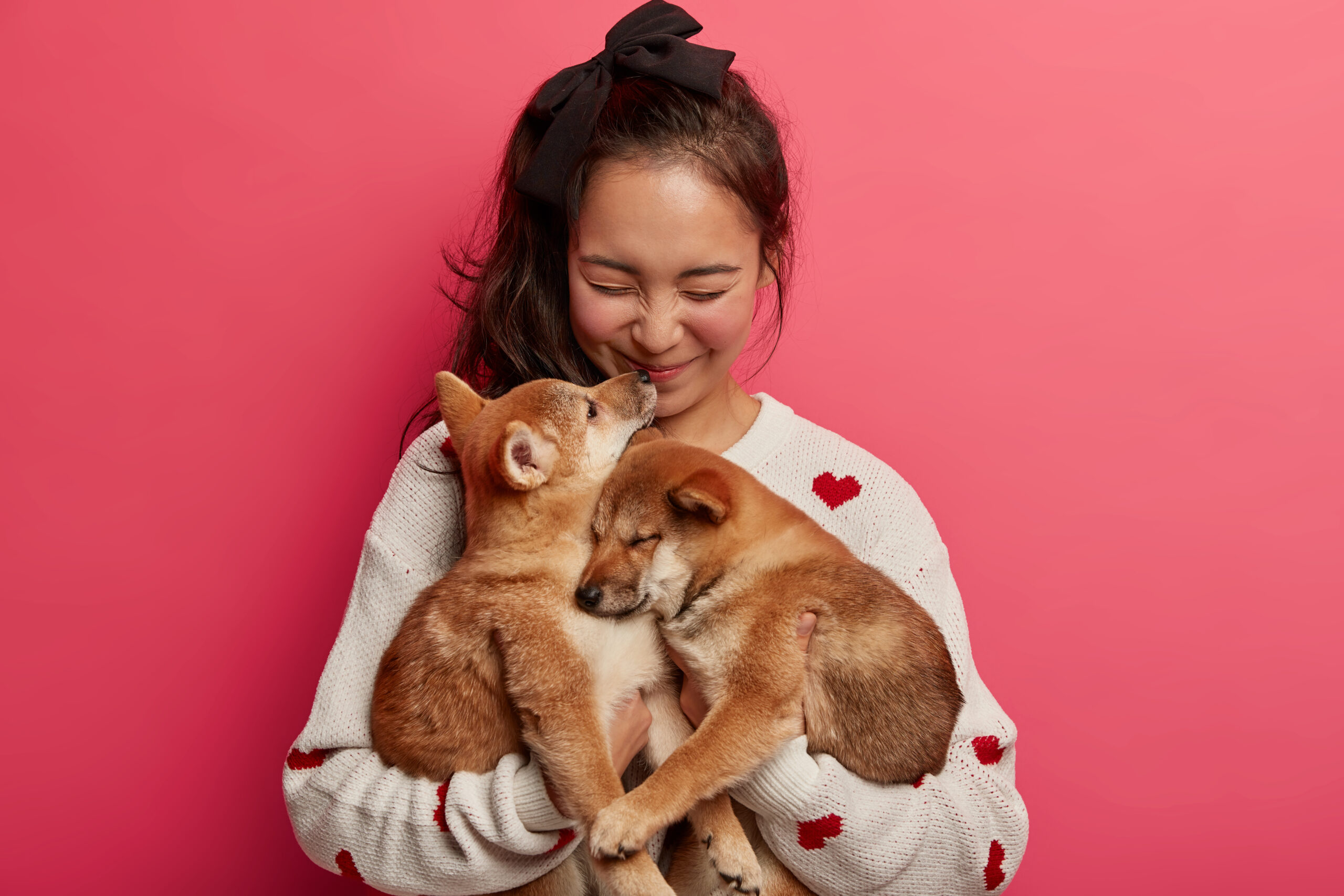 50+ Heartwarming Dog Lovers Quotes to Brighten Your Day