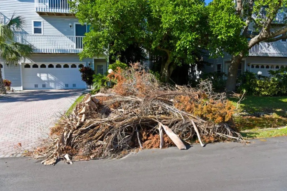 How to Dispose of Yard Waste the Right Way